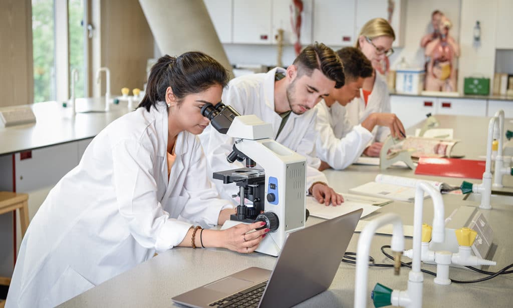 Education in Monaco - Icon Property Monaco